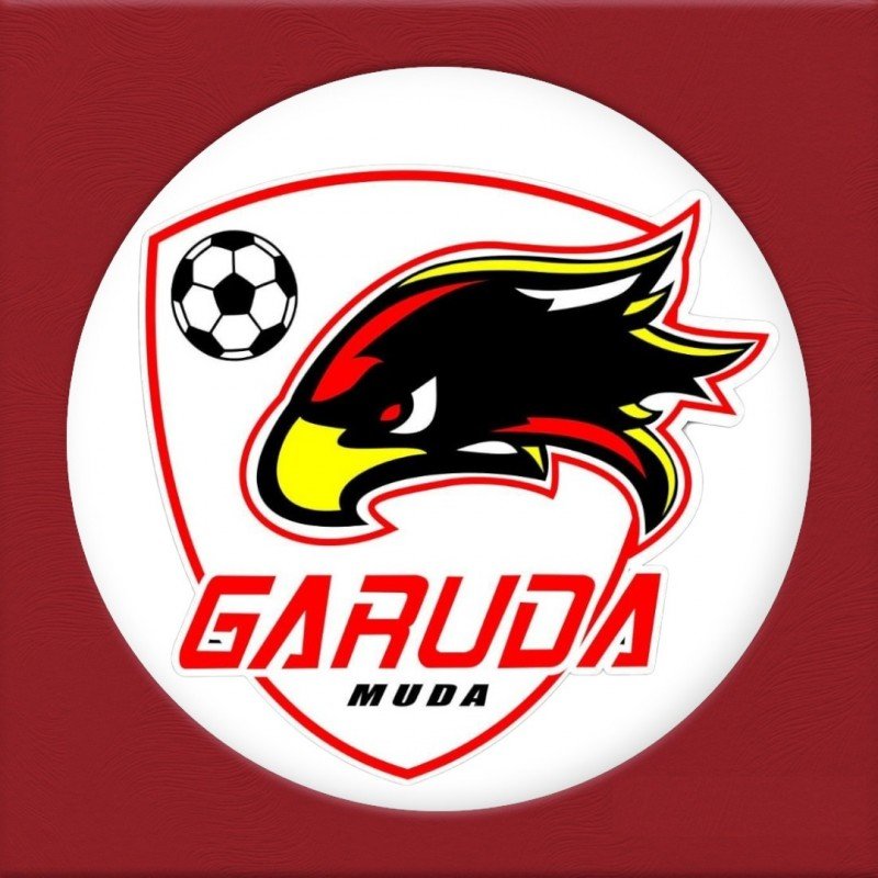 Data Garuda Muda Sekolah Futsal di LIGA AAFI TANGERANG4 2024 Divisi U11